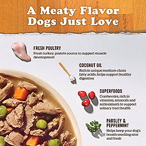 Now Fresh Wet Dog Food - 12.5 oz (12 Ct) - Grain Free Wet Dog Food -Turkey Stew with Bone Broth Recipe - for Small, Medium and Large Breed Dogs