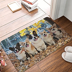 Custom Rug Personalized Decoration Door Mat Customized Non-Slip Area Floor Carpet 16 x 24 inch for Bedroom Bathroom Living Room Entryway Office