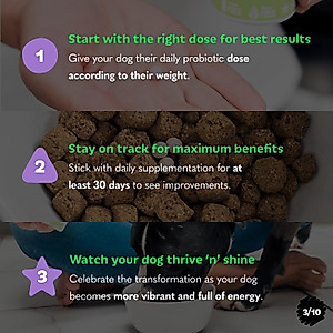 Minimal Ingredient Dog Probiotic to Alleviate Allergies, Infections, ‘n’ Digestive Issues