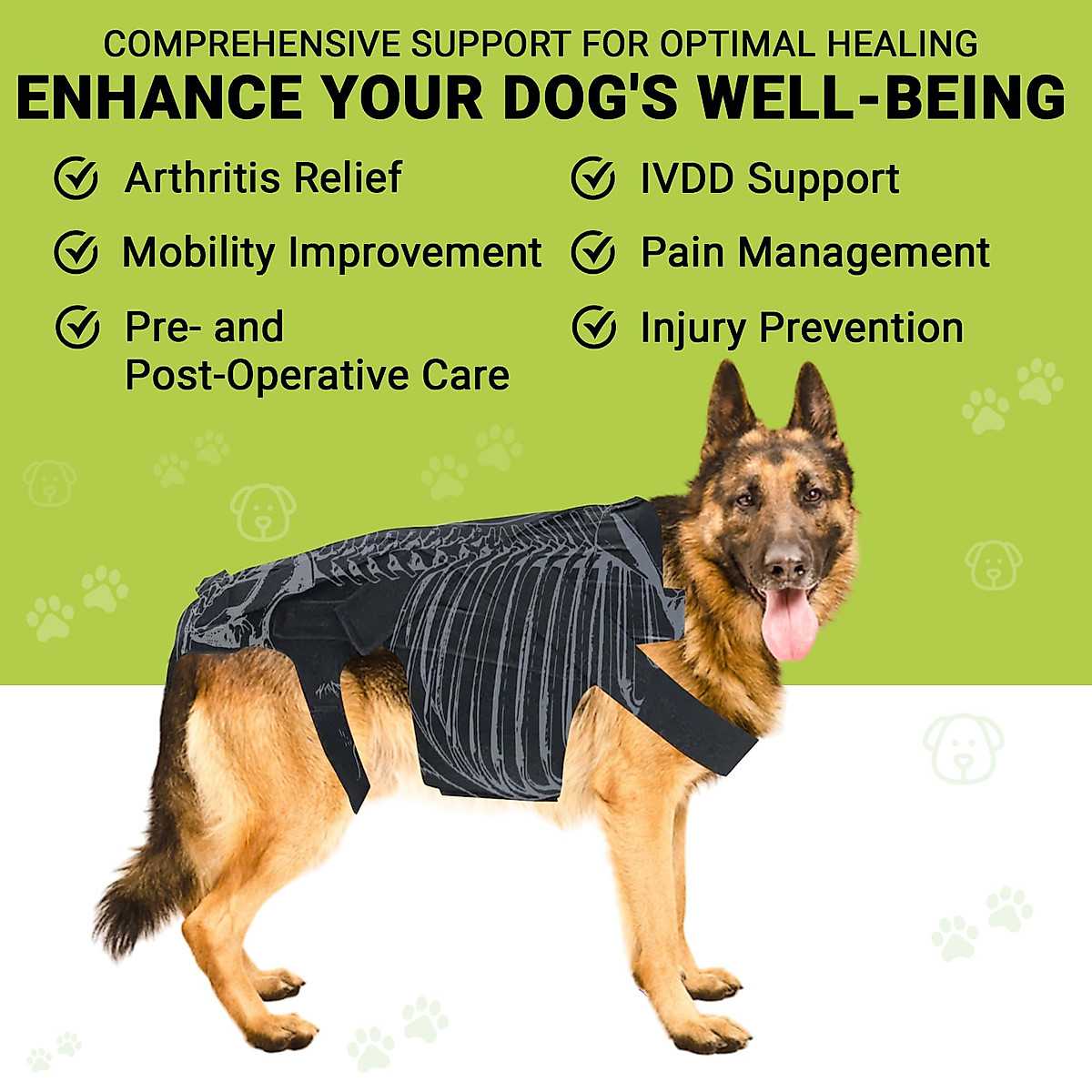 CATUPUNIS Dog Back Brace for Slipped Disc and Dog Arthritis Support, IVDD Dog Supplies, Dachshund Back Support, Back Brace for Dogs with Back Disease and IVDD [Includes 5 Dog Teeth Cleaning Wipes] (M)