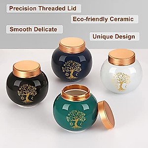 Small Keepsake Cremation Urn for Human Ashes, Ceramic Small Urns for Ashes Adult Male or Female, Memorial Urn for Sharing Adult Pet Cat and Dog Ashes