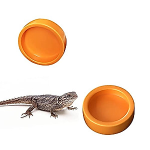 2 Pack Reptile Food Bowls Mini Ceramic Water Feeder Bowl Anti-Escape Mini Reptile Feeder for Lizard Anoles Bearded Dragons Crested Gecko Hermit Crabs