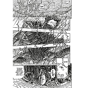 Berserk Deluxe Volume 13 (Berserk, 13)