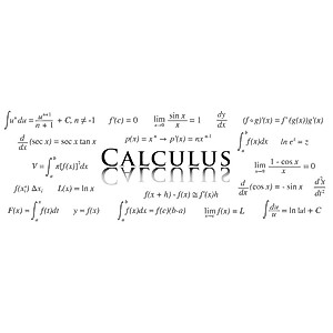 CafePress Calculus Equations Mugs Ceramic Coffee Mug, Tea Cup 11 oz
