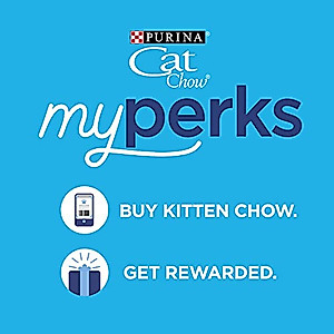 Purina Kitten Chow Dry Kitten Food, Nurture Muscle + Brain Development - 14 lb. Bag