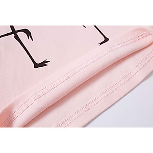 Popshion Little Girls Pajamas Sets Toddler Long Sleeve Leggings Outfits 2 Piece for Kids(Flamingos-6217 6T)