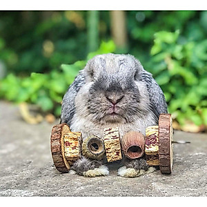 Exotic Nutrition Chew Assortment - Healthy Natural Variety Pack Chew Treat Toys - for Chinchillas, Guinea Pigs, Hamsters, Rabbits, Degus, Prairie Dogs & Other Small Pets