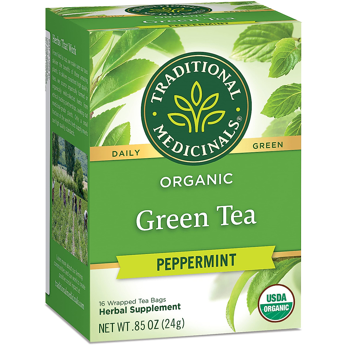 Traditional Medicinals Organic Green Tea Peppermint Herbal Tea, Alleviates Digestive Discomfort, (Pack of 3) - 48 Tea Bags Total