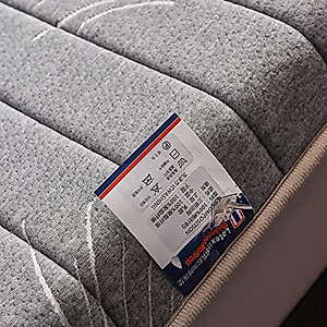 QQCC Mattress Topper Fashion Latex Mattress Folding Mattress for/King/Twin/Full Size Bed Breathe Foam Tatami Mattress (Color Classification : 15, Size : 120x190cm)