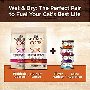 Wellness CORE Digestive Health Wholesome Grains Probiotic Coated High Protein Dry Cat Food, Chicken & Rice Dry Cat Food, 11 Pound Bag