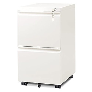 DEVAISE 2-Drawer Mobile File Cabinet with Lock, Commercial Vertical Cabinet, White