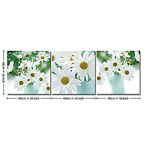 So Crazy Art- White Daisy Wall Art Decor Daisies Flower in Vase Canvas Pictures Artwork 3 Panel Plant Painting Prints for Home Living Dining Room Kitchen