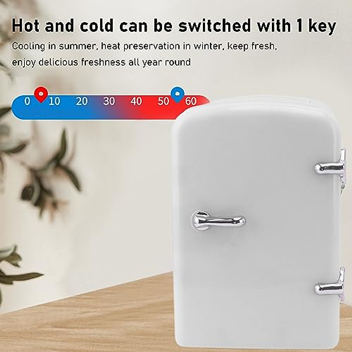 Mini Beauty Fridge, Portable Cooler Warmer Refrigerator ABS Plastic 36W AC100-240V DC12V Noiseless for Office (US Plug)