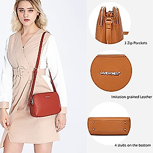 DAVID - JONES INTERNATIONAL. Lightweight Convertible Crossbody Bag Shoulder Bag with 3 Zip Pockets,Vegan Leather Soft Casual Travel Handbags,Small Size Brown Women Purse