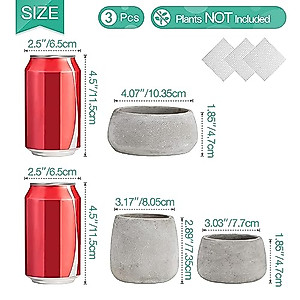 T4U 3 Inch - 4.25 Inch Cement Succulent Cactus Pot, Concrete Planter Pot Container Window Box, Small Clay Pot for Plants Flowers with Drainage Bamboo Tray for Home Decor, Set of 3(Grey)