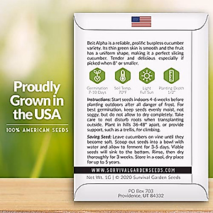 Survival Garden Seeds - Beit Alpha Cucumber Seed for Planting - Pack with Instructions to Plant and Grow Smooth Green Burpless Cucumbers in Your Home Vegetable Garden - Non-GMO Heirloom Variety - 2
