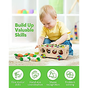 Coogam Montessori Fine Motor Toys for Baby Toddler, Wooden Shape Sorter Carrot Harvest Game, Preschool Learning Educational Gift Toy for 3 4 5 Year Old