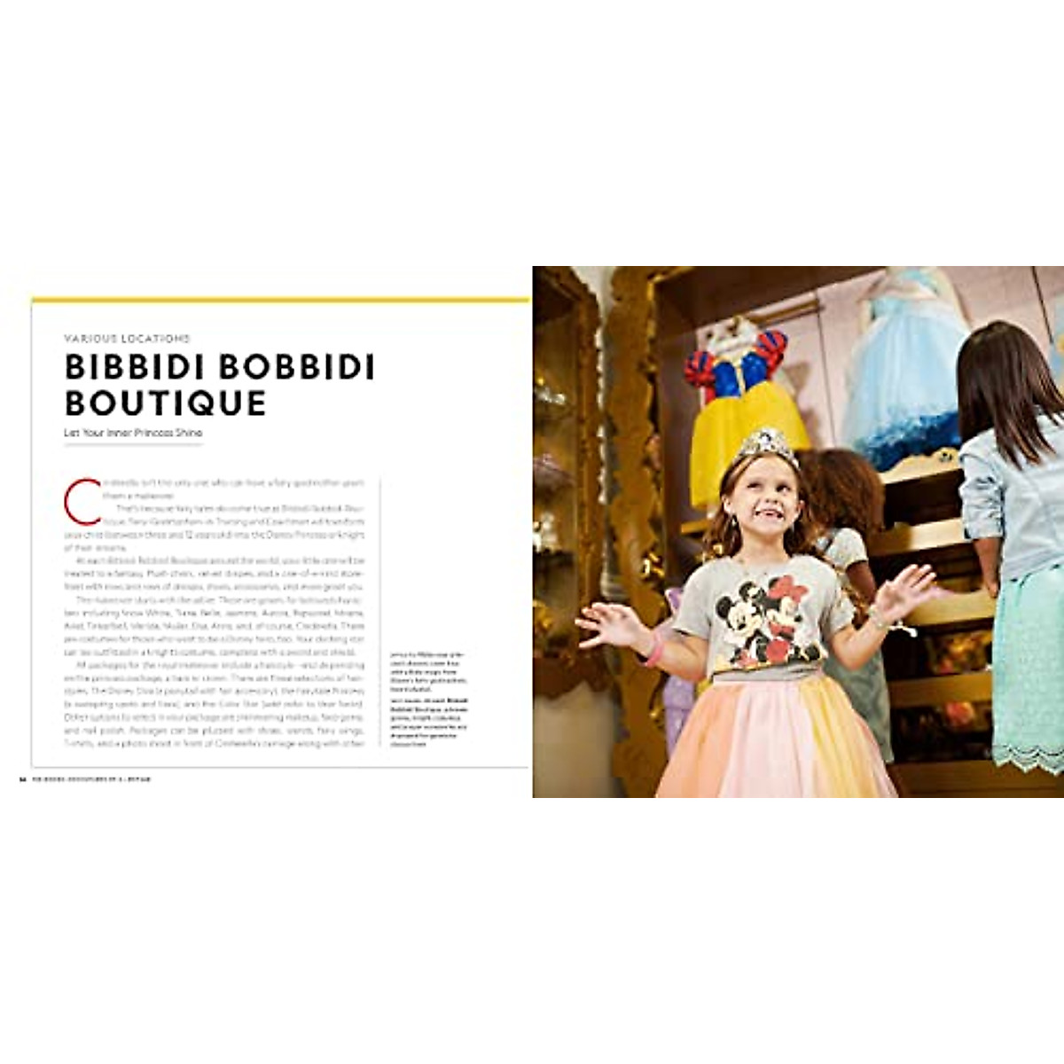 100 Disney Adventures of a Lifetime: Magical Experiences From Around the World