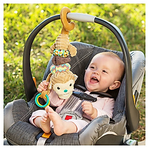 Musical Pull Down™ Monkey