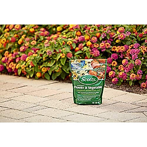 Scotts All Purpose Flower and Vegetable Continuous Release Plant Food, 3-Pound