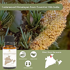 Nature Packaged Cedarwood Essential Oil (Himalayan) - Direct from Hindustan Mint & Agro in India - Essential Oil for Diffusers and Aromatherapy | Pure Therapeutic Grade (15ml)