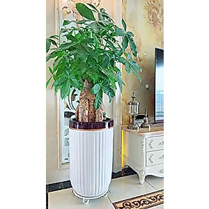 YUjieSTC Plant Stand with Wheels,3.0mm Thick Aluminum Alloy Heavy Duty Plant Caddy with Wheels, Rolling Plant Stand Holds 12 Inch and 500lbs（White）