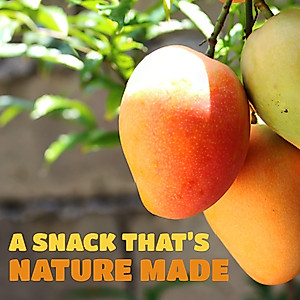 Dried Mango Slices - Delicious Texture Soft & Juicy Low Sugar Added Dried Mango - Naturally Ripened Mangos Dried Fruits - Gluten Free Dry Mangoes Natural Source of Vitamin C, Fiber, (16 Oz Dried Mango)