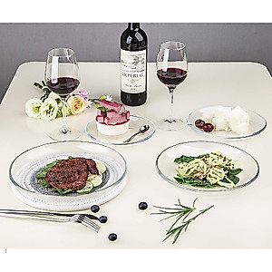 FOYO Oven Basics Glass Plate Set, 10 inch Round Tempered Glass Pie Dish, Set of 2