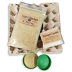 G&T Country Living Dubia Roach Colony Starter Kit with a Pound of Feeder Insect Chow for Earthworms, Hissing Cockroaches, Breeding Insects, Gut Loading, for Reptiles