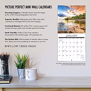 Willow Creek Press Ah The Beach! Monthly Mini 2024 Wall Calendar (7" x 7")
