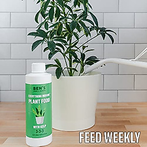 Ben's Home & Garden Everything Indoor Plant Food with Kelp | Liquid Concentrate Indoor Plant Fertilizer 3-3-3 All Purpose Plant Food for House Plants (8 Ounce)