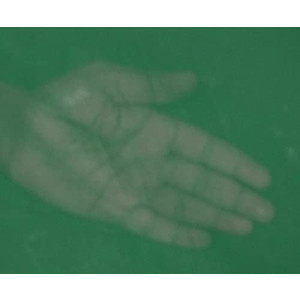 Peegli Indian Sarong Wrap Green Vintage Textile Georgette DIY Fabric Traditional Embroidered Material