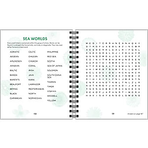 Brain Games - Everyday Mindfulness Word Search (White)