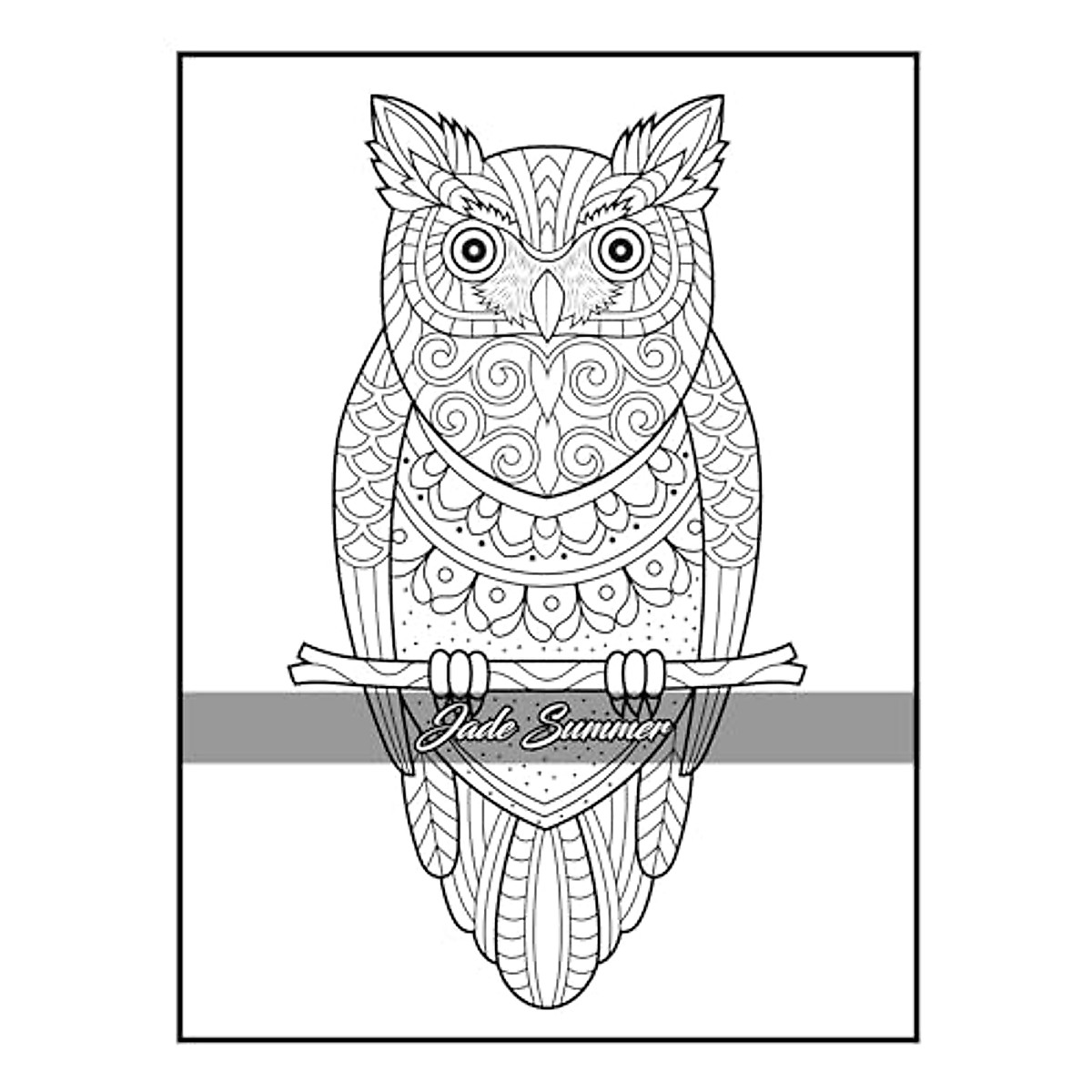 100 Animals: An Adult Coloring Book with Lions, Elephants, Owls, Horses, Dogs, Cats, and Many More!