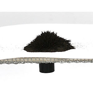 Fine Iron Filings for The Study of Magnetism, 250g - Eisco Labs - Made in The USA