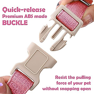 DCSP Pets Dog Collar – Heavy-Duty Dog Collar for Small Dogs, Medium and Large – Eco-Friendly Natural Fabric – Durable and Skin-Friendly – Soft Dog Collar for All Breeds – Medium, Pink