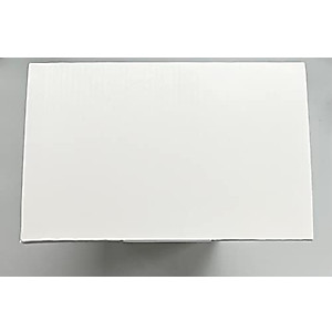 OMPHOBBY M2 EVO Ready to Fly 3D RC Helicopter Outdoor, 6CH Remote Control Helicopters for Adults, Compatible with RadioMater Zorro Transmitter Red