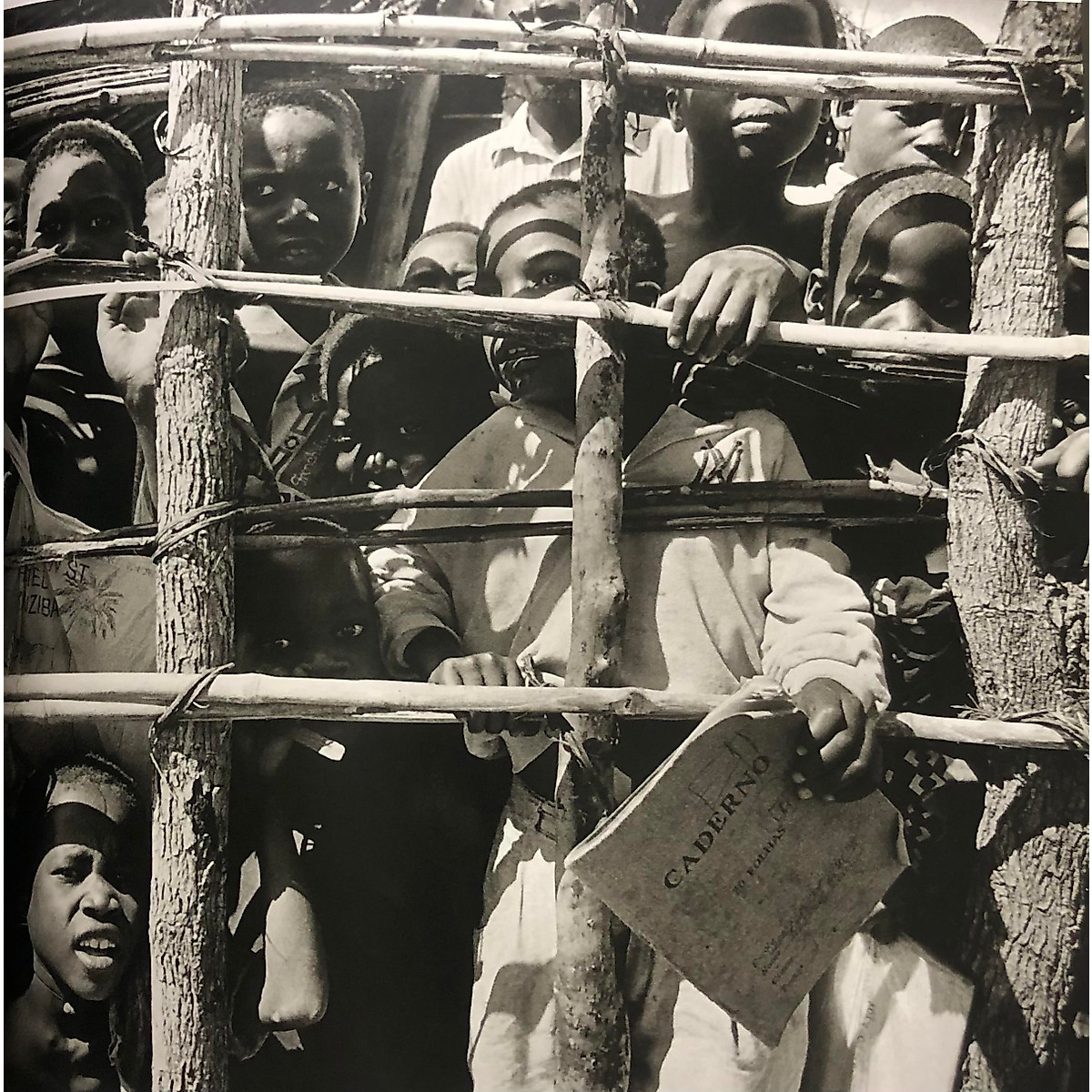 O berço da desigualdade = The cradle of inequality = La cuna de la desigualdad = Le berceau de l'inégalité.