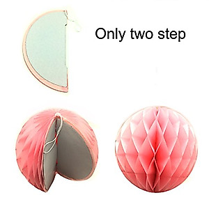 Cocodeko Hanging Set, Tissue Paper Poms Flower Fan and Honeycomb Balls for Birthday Baby Shower Wedding Festival Decorations-Pink, 3 Gram