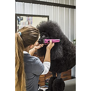 WAHL Professional Animal Creativa Cordless Dog, Cat, Pet, and Horse Clipper with 5-in-1 Adjustable Blade, Berry (#41876-0431)