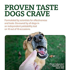 Doggie Dailies Probiotics for Dogs, 225 Soft Chews, Advanced Dog Probiotics with Prebiotics, Promotes Digestive Health, Supports Immune System and Overall Health (Pumpkin)