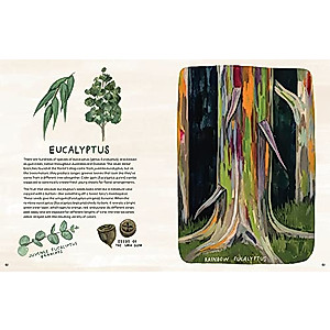 Trees: An Illustrated Celebration