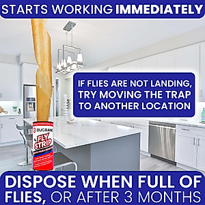 48 Fly Strips Indoor Sticky Hanging with Pins. Fly Trap Fly Paper Strips Indoor Hanging Fly Tape for Indoors and Outdoor. Fly Catcher Fly Ribbon Sticky Fly Traps for Indoors Flypaper. Fruit Gnat Traps