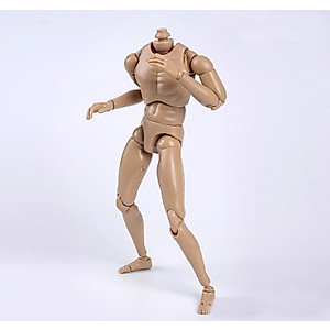 1/6 Scale Narrow Shoulder Male Body Doll Action Figure for TTM18 TTM19 Hot Toys & Human Body Sketch Model