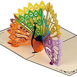 Peacock Pop Up Birthday Card by DEVINE Popup Cards | Happy Wedding Anniversary Card for Husband Wife Boyfriend Girlfriend | Romantic Valentines 3D Cards for Her Him Mothers Day Gifts Mom Love Bird