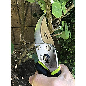 Q-yard QY-731L Traditional Bypass Pruning 8.5" Titanium Blade- Handheld Gardening Tools Shears