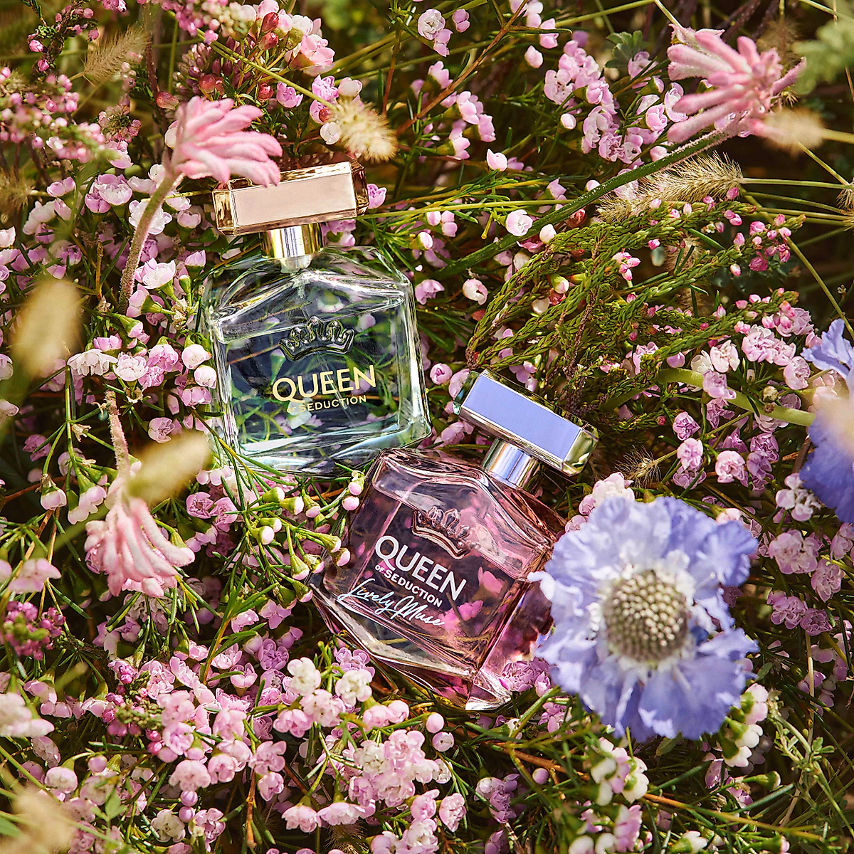 Antonio Banderas Seduction Women Universe (Queen Of Seduction Lively Muse, 2.7 Fl Oz (Pack of 1))