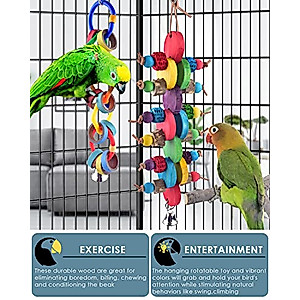 Bissap 2PCS Bird Chew Toys, Multicolored Bagel Cascade Bird Parrot Toy Biting Paper Cardboard Olympic Rings Conures Toys for Amazon Cockatiels Cockatoos Macaws and Similar Sized Pet Birds