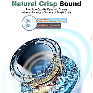 [2 Pack] WEIZY Aux Earbuds, Vize 3.5mm Wired Headphones Noise Isolating Earphones Volume Control & Built-in Microphone Compatible with iPhone/Samsung/Android/MP3/MP4