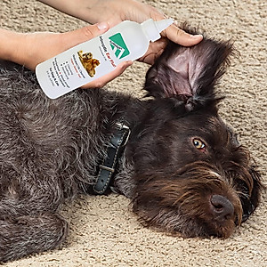 Forticept Dog Ear Infection Treatment, Dog Ear Cleaner, Itch Relief Cat and Dog Ear Wash Flush 8 oz